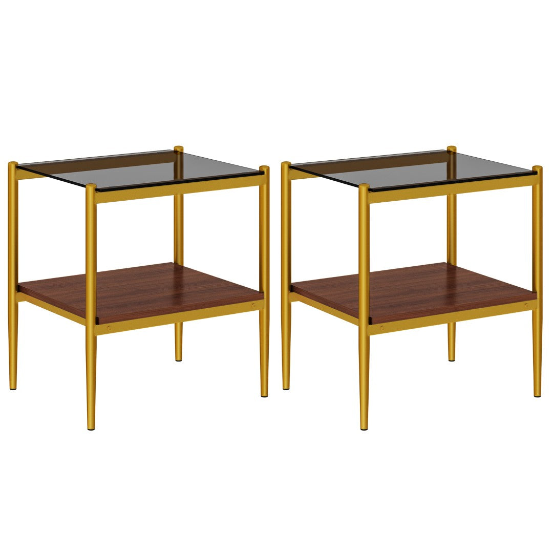 Set Of 2 Modern Rectangle End Tables With Gray Tempered Glass Top And