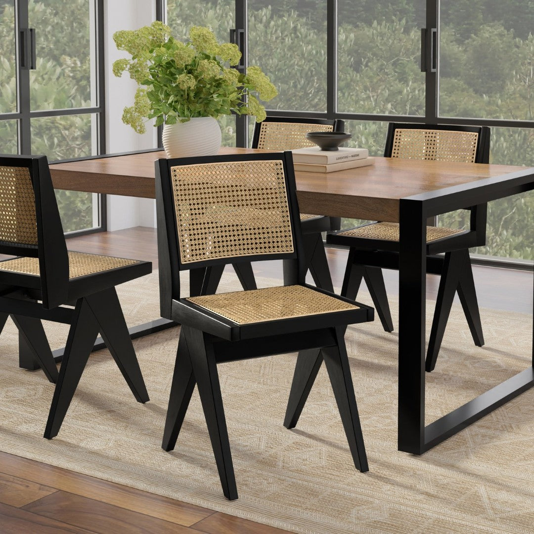 Regina Dining Chairs - Timeless Mid-Century Design Inspired by Pierre