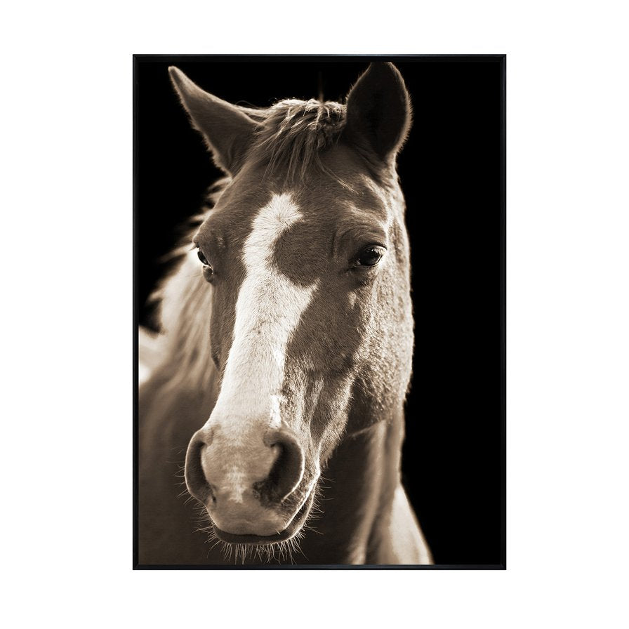 Fayette Wall Decor - Stunning Crestview Design from China - Elevate Yo