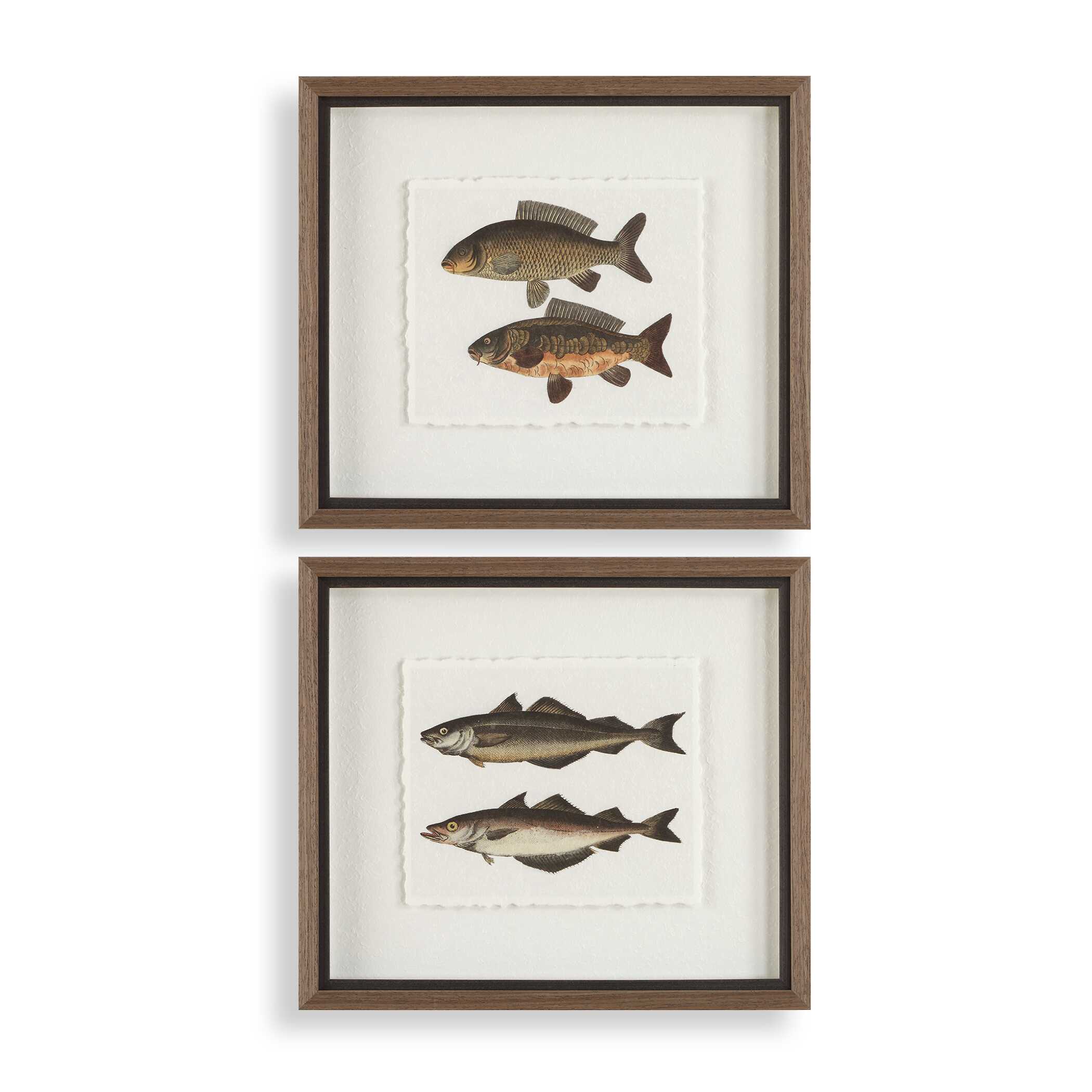 Framed Fish Prints Set/2 - Intricate Underwater Artwork with Rustic Gr