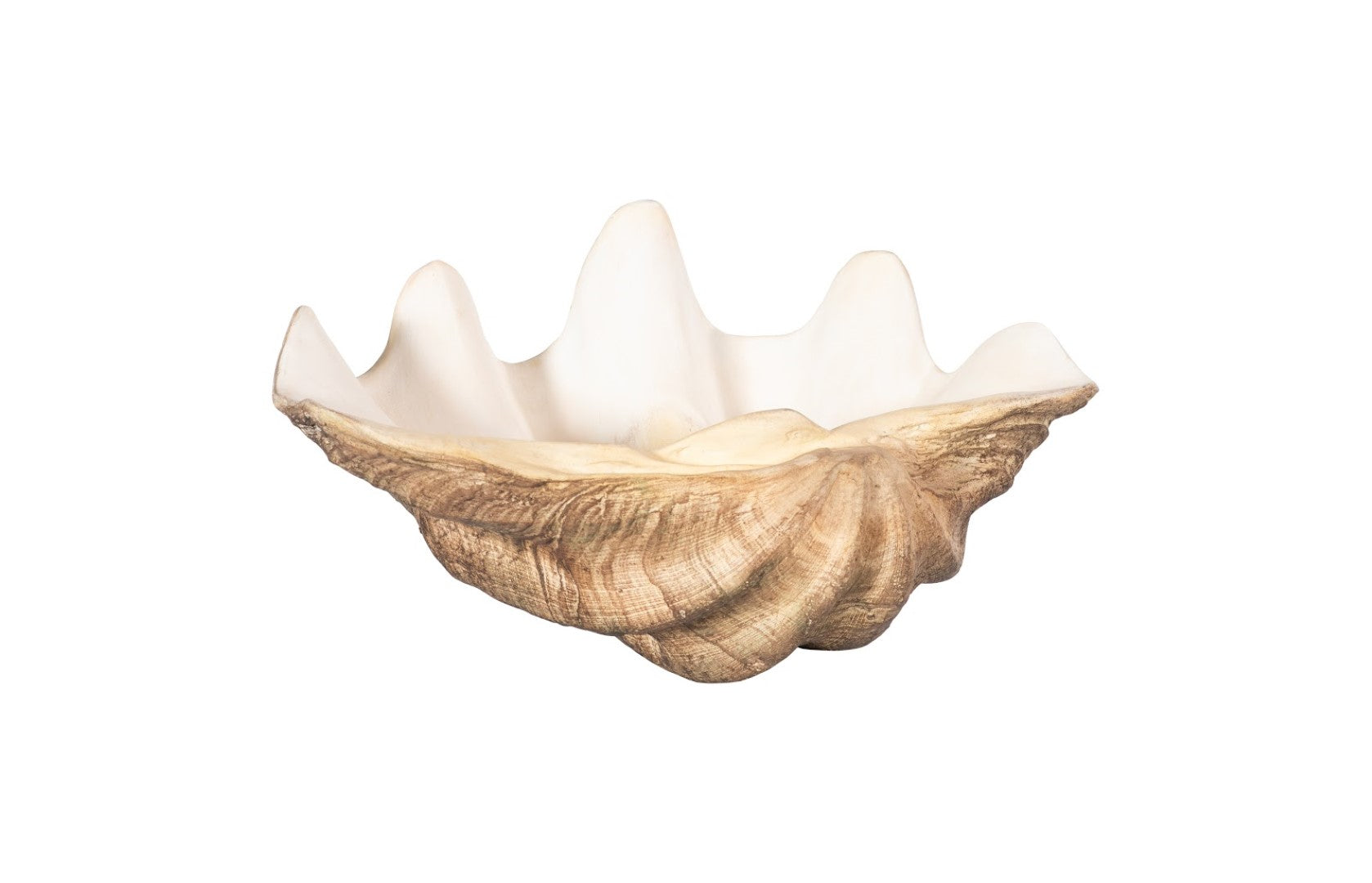Cast Clam Shell Bowl – Elegant Coastal Decor Piece for a Touch of Ocea