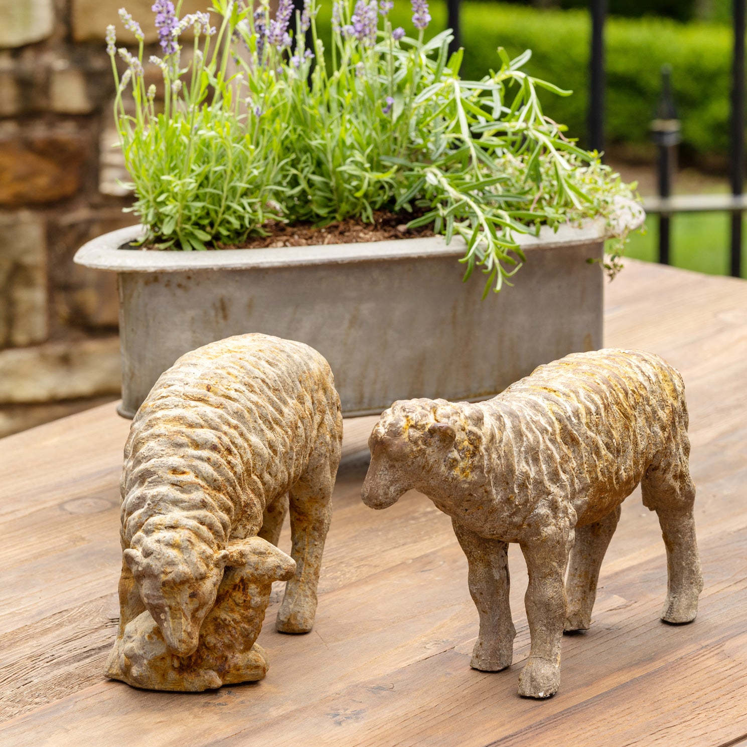 Country Sheep Family - Charming Distressed Set of 2 Sculpted Sheep for